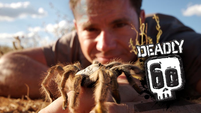 Watch Inside the Factory Today's Episode 1, Streaming on Sony BBC Earth ...